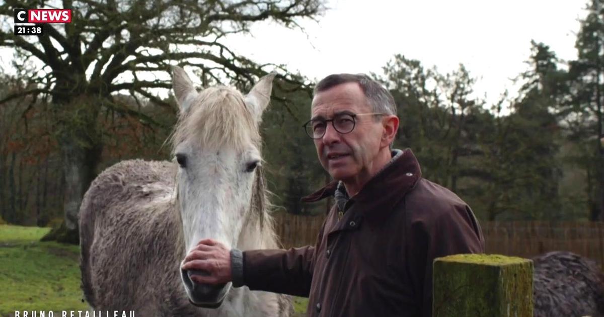 Bruno Retailleau : brioche, chevaux… Le ministre ouvre les portes de ...