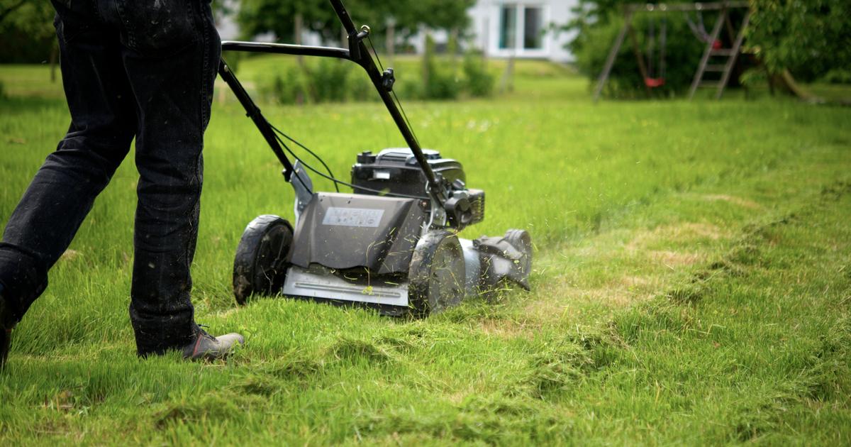 Pourquoi il ne faut plus jeter l’herbe tondue