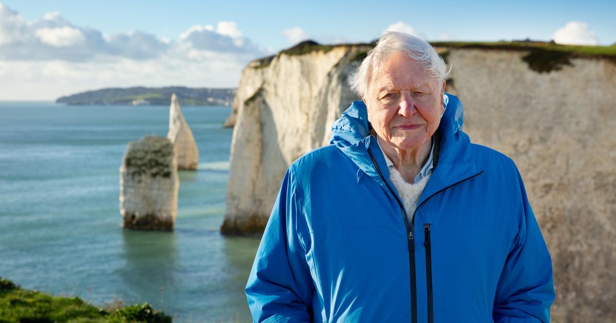 L’Appel de l’océan : mer courage