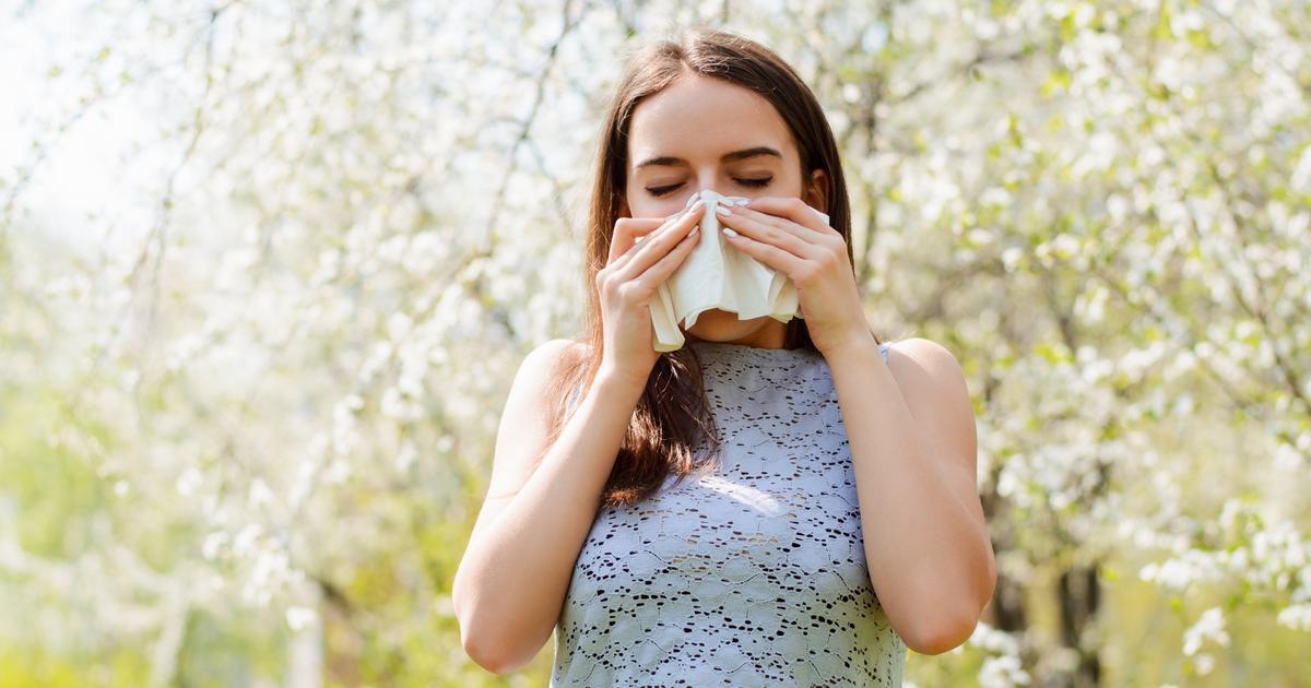 Allergie au pollen : 14 arbres à ne pas planter dans son jardin