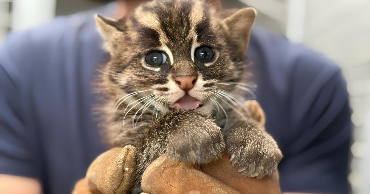 Hot mom full sex videos lost it that way and then fell to