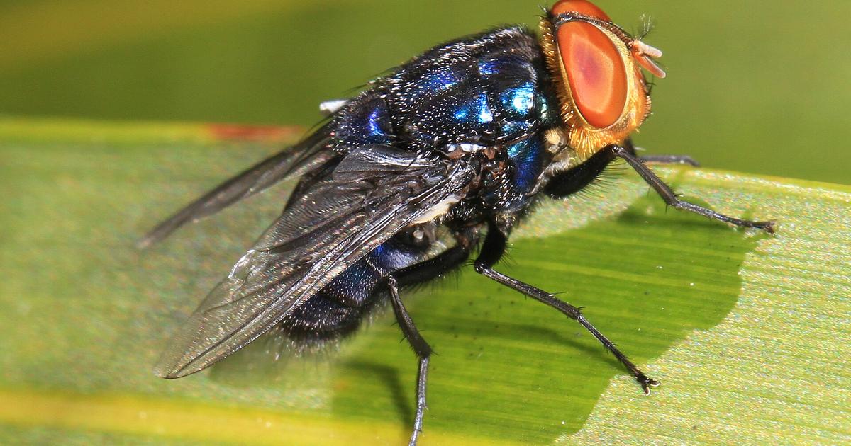 سكسعراقي sotwe gorgeous look without a lot of makeup or