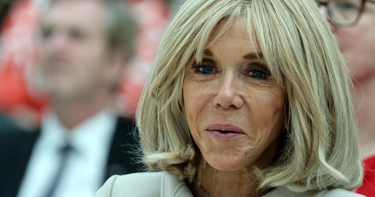 Infox sur Brigitte Macron transgenre: pourvoi en cassation de la ...