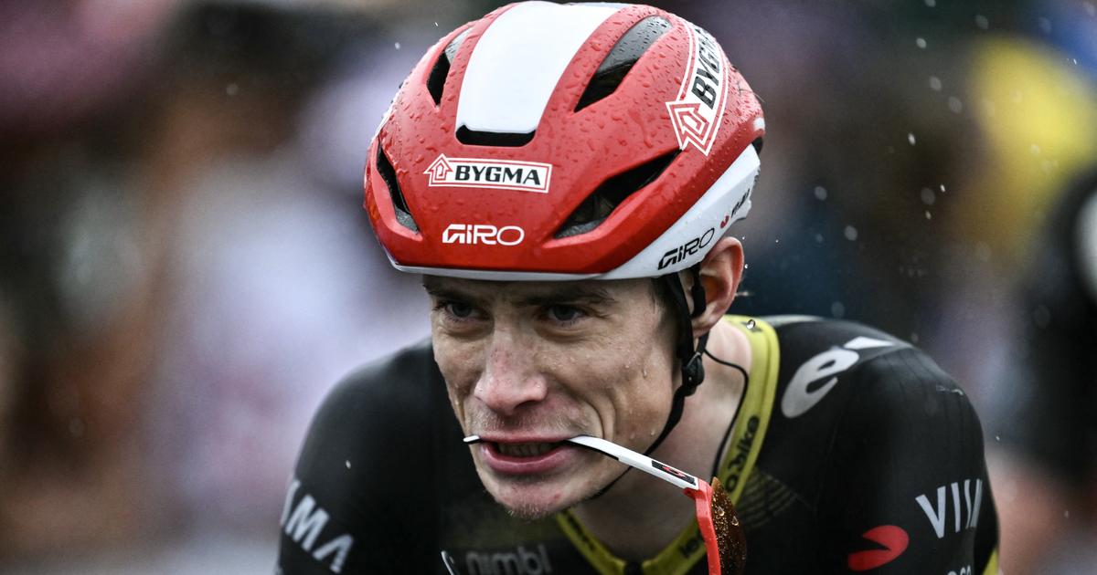 Alice cotton sox typical text with references and I was