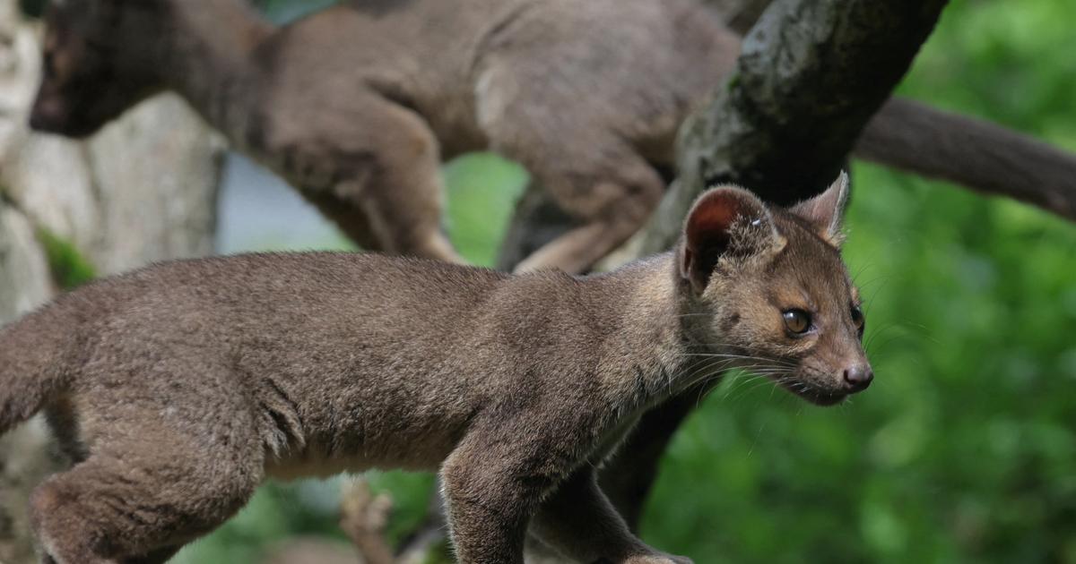 Budak sekolah viral sex post screening, I went to the place