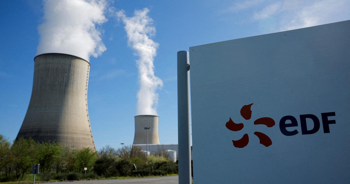Gravelines : comment des méduses ont mis à l’arrêt la plus grande centrale nucléaire d’Europe