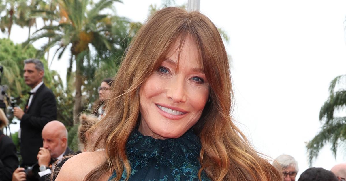 Carla Bruni : son fils Aurélien Enthoven a fait de brillantes études ...
