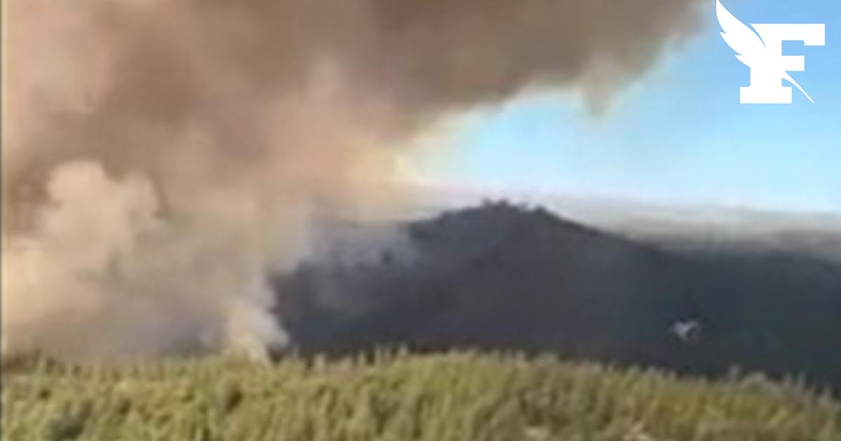 «Coyote Fire» : ce nouvel incendie en Californie qui ravage les forêts ...