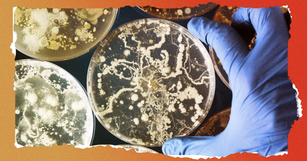 How Artificial Bacteria Could Colonize the Planet with Nothing to Stop Them