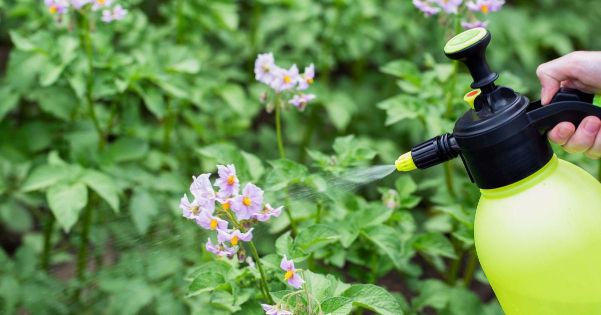 Mal utilisé, ce produit de jardinage peut mettre en danger la faune et ...