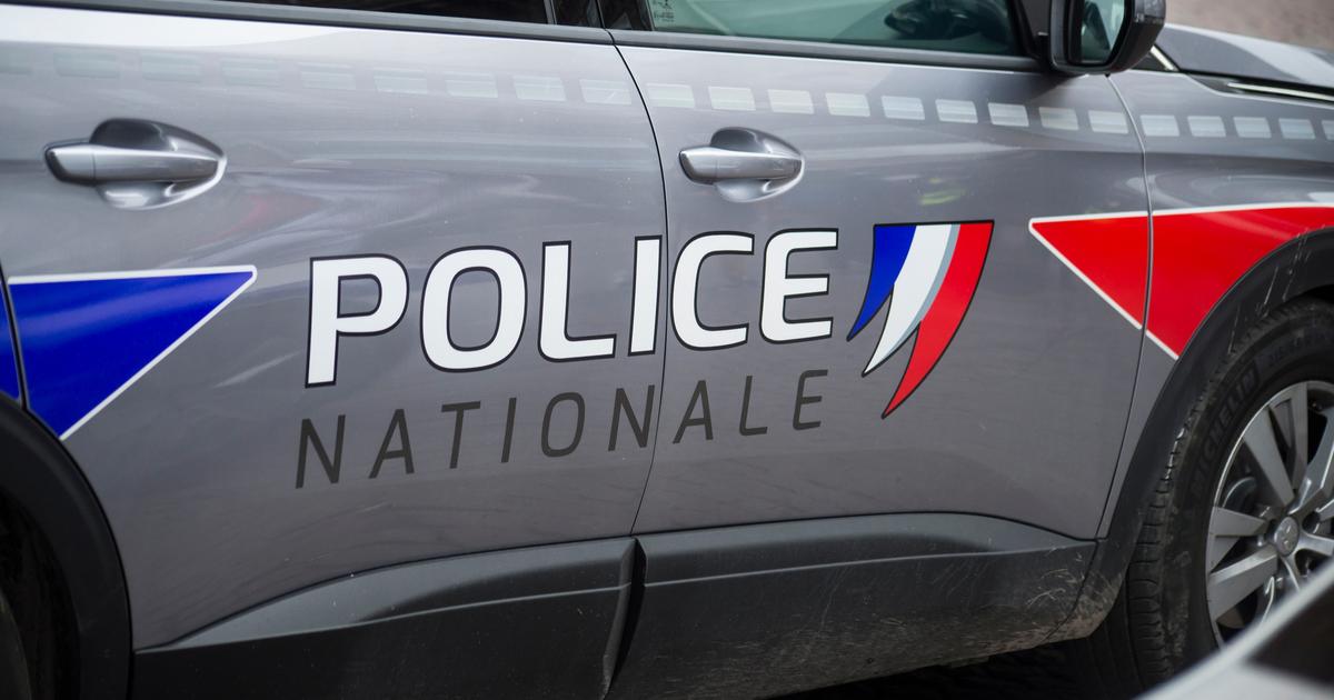 Major Theft at Limoges Museum: €9.5 Million in Chinese Porcelain Stolen ...