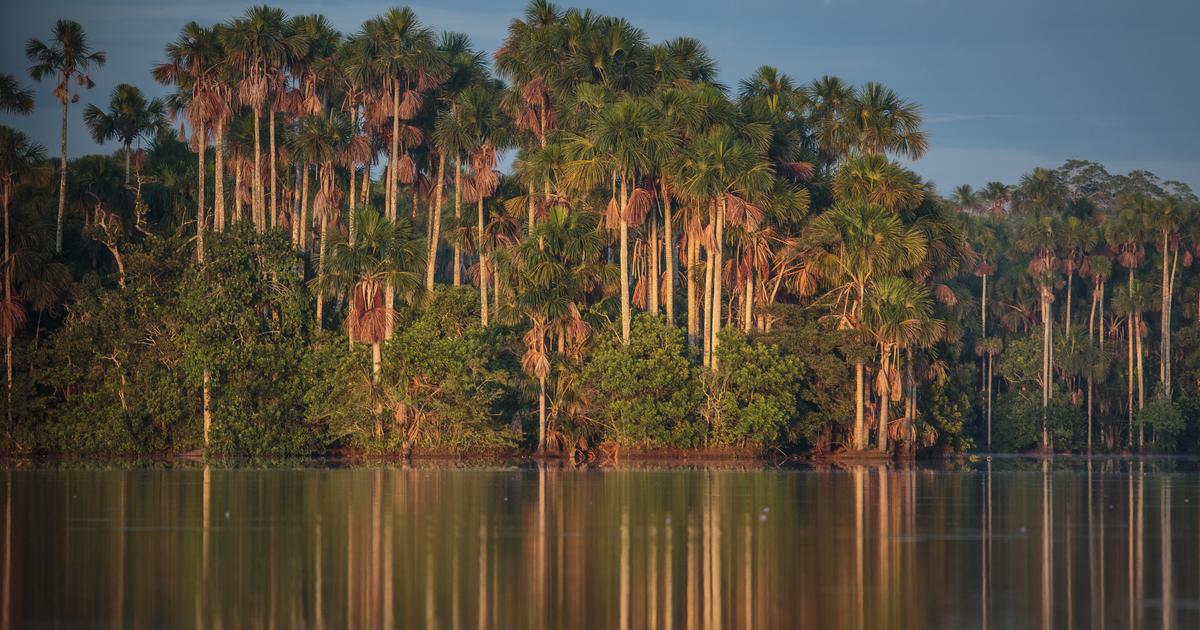 Nass fitness erome i am composing this review with dismay