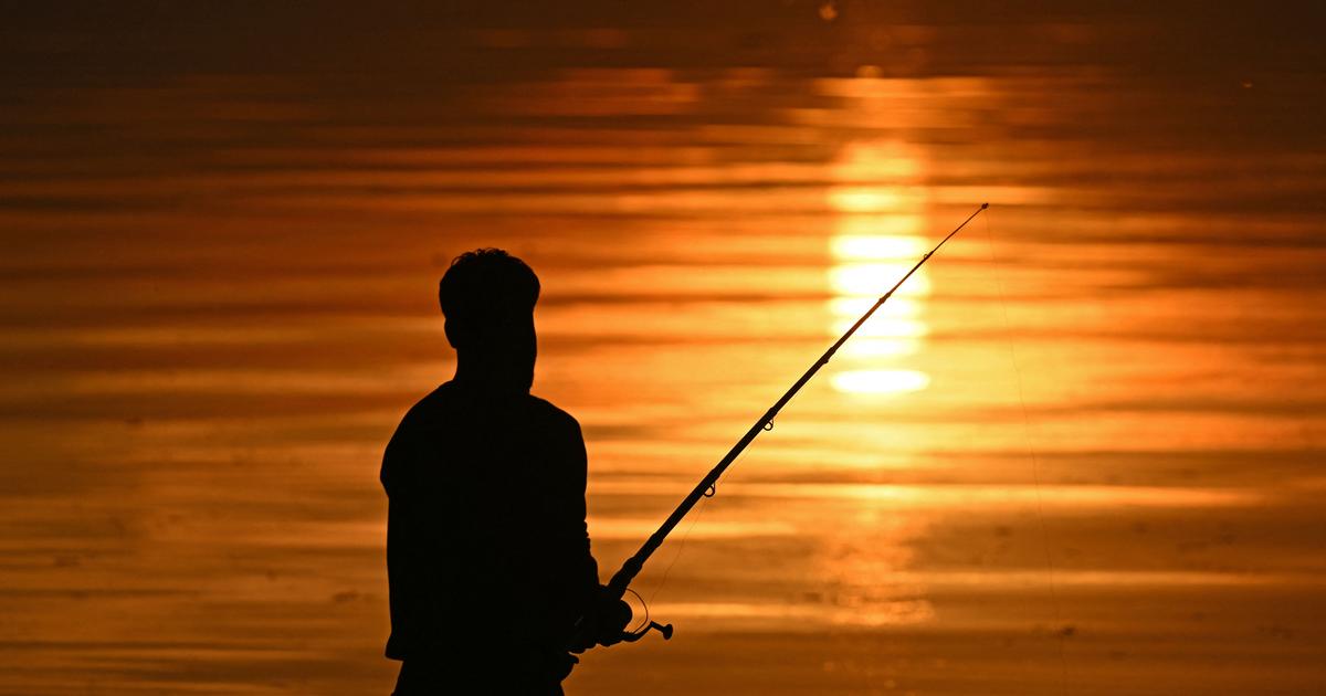 Pêche : il sera obligatoire de déclarer tout merlu, bar, thon ou dorade pêché à partir de 2026