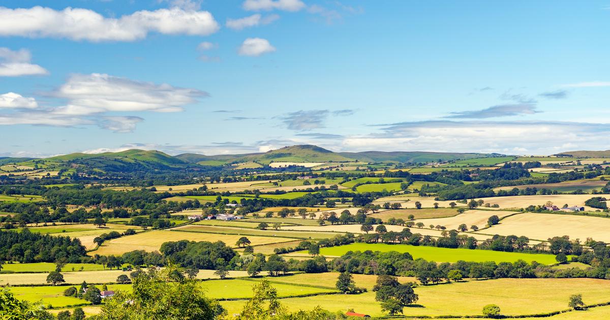 Le barème 2025 des prix des terres agricoles