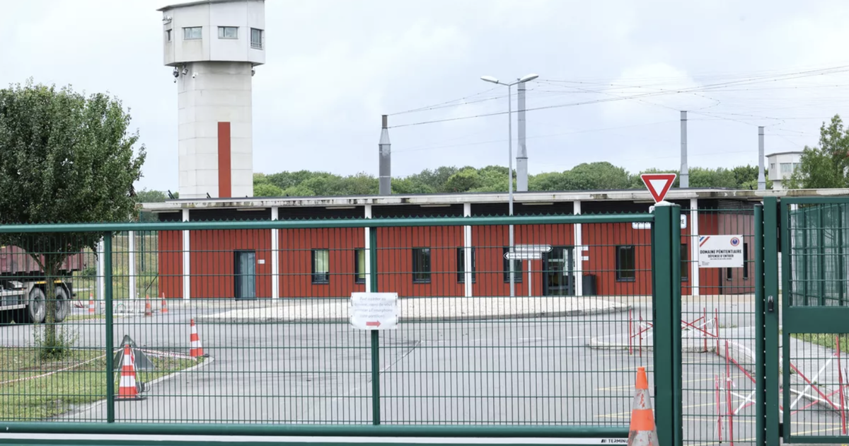 “It’s Actually a Good Sign if They’re Rebelling”: The Drug Traffickers ...