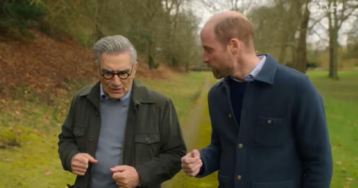 «L’année la plus difficile de ma vie» : sur Apple TV+, le prince ...