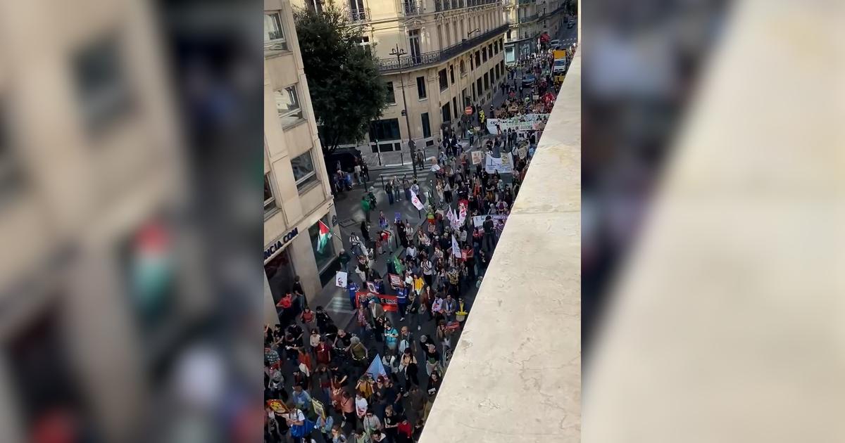 Paris, Strasbourg, Bordeaux... Des milliers de manifestants marchent pour le climat et la ...