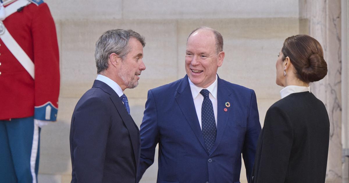PHOTOS – Emmanuel Macron et Albert II de Monaco à Copenhague : Frederik ...