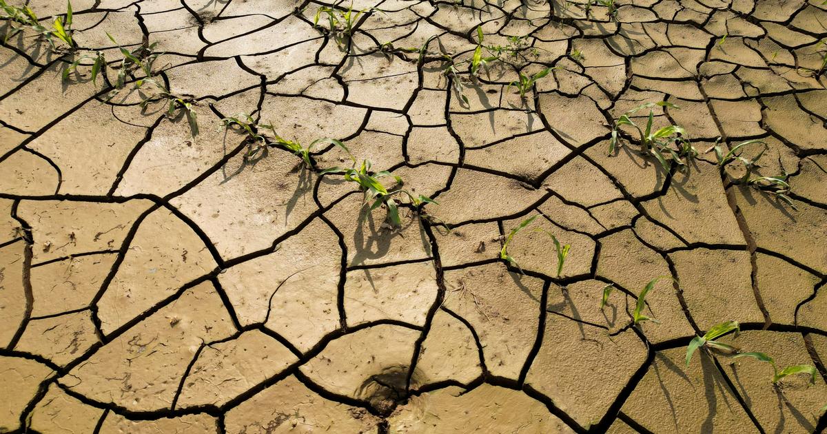 Selon un rapport du Lancet, l’inaction contre le changement climatique ...