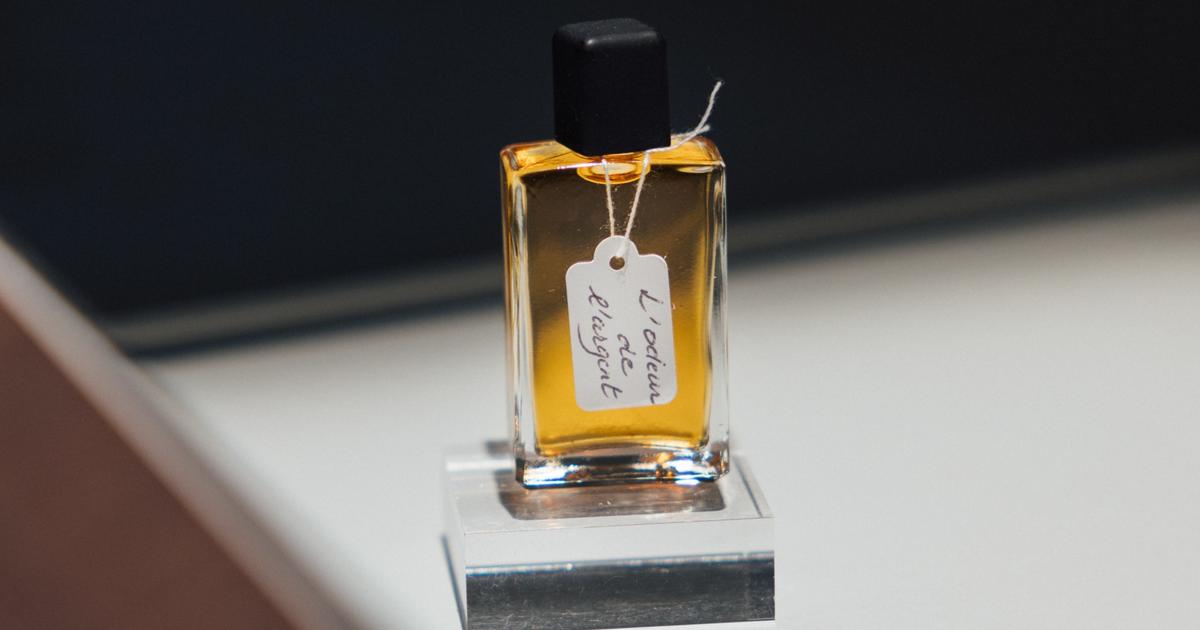« J’ai compris grâce à Sophie Calle que le parfum doit répondre à d ...