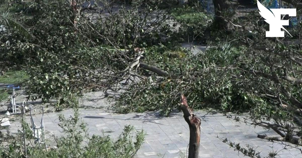 «Le vent est tellement fort que rien ne résiste» : au Vietnam, le typhon meurtrier Kalmaegi fait ...