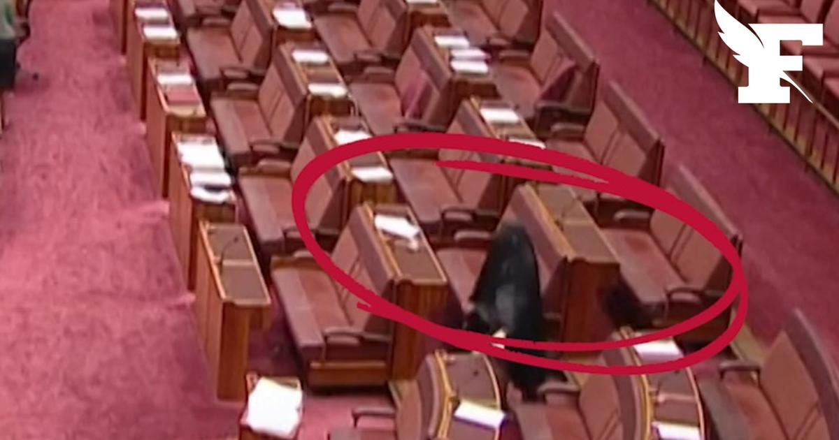 Australie : une sénatrice d’extrême droite s’installe au Parlement ...