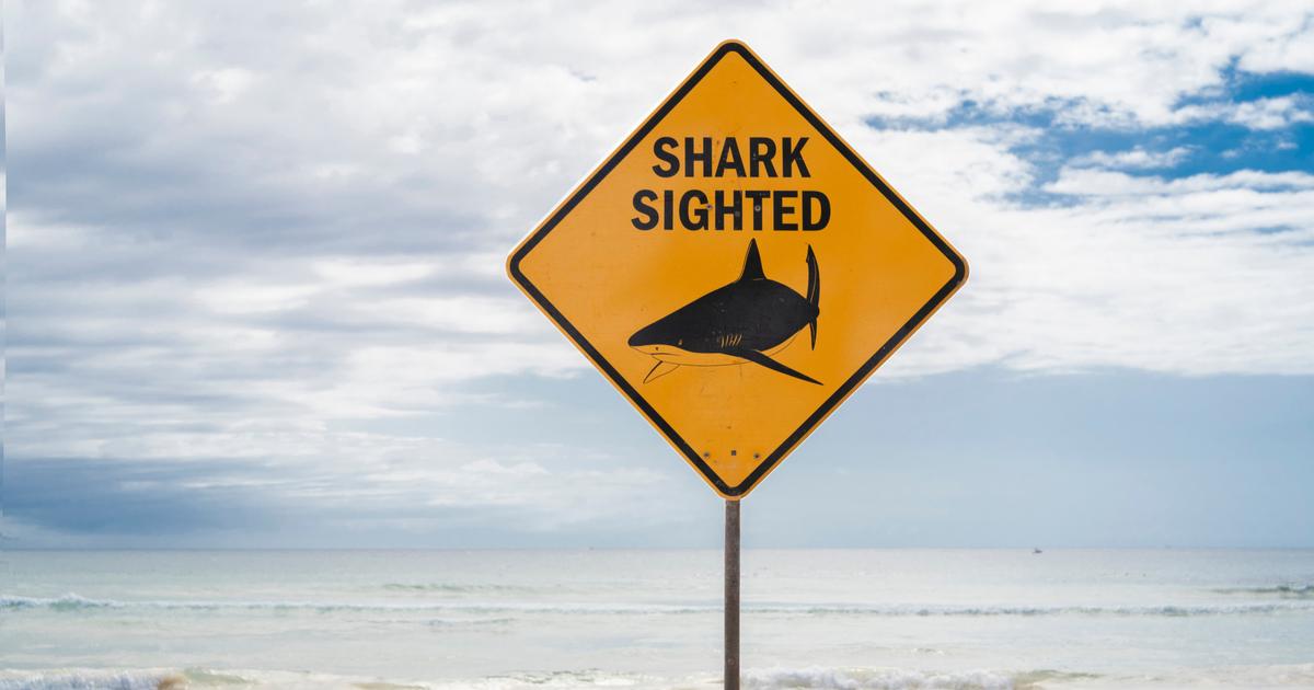 Bokep artis sarah azhari