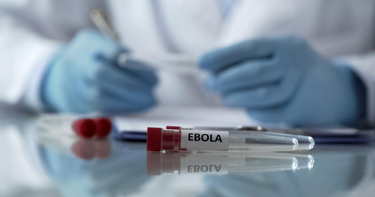 Médecine – Actualité Médicale, des médicaments et des maladies