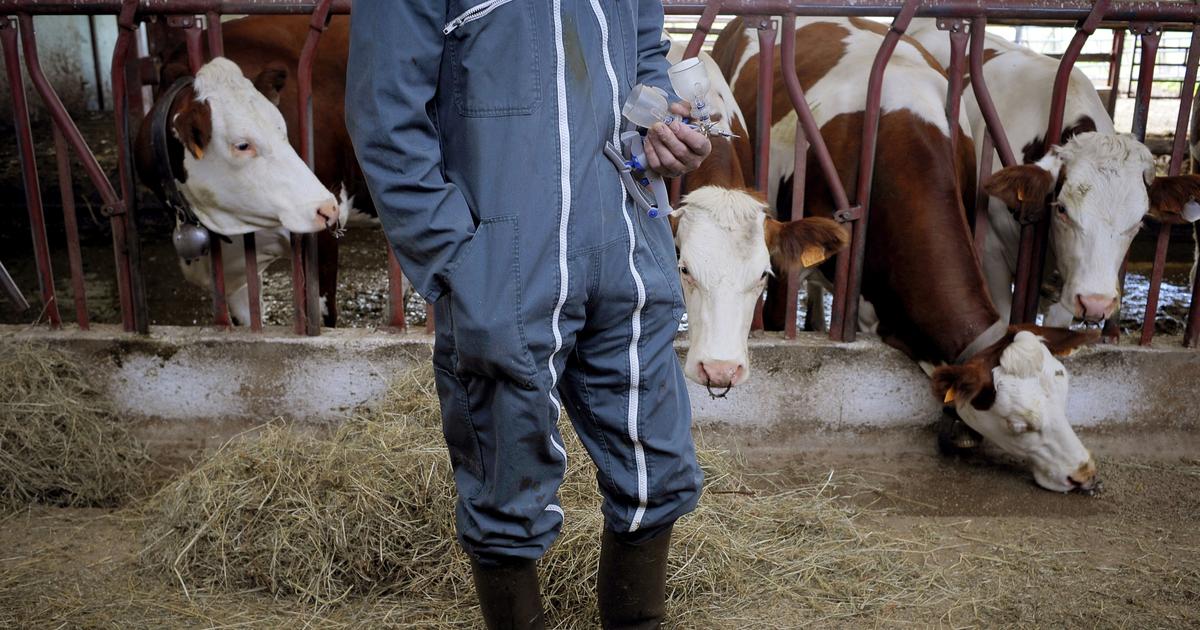 «Climat insurrectionnel», «messages haineux»... En pleine crise de la ...
