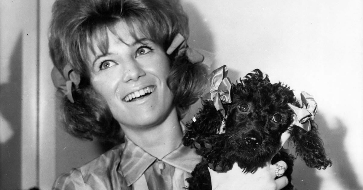 PHOTOS - Sheila : retour sur son évolution physique
