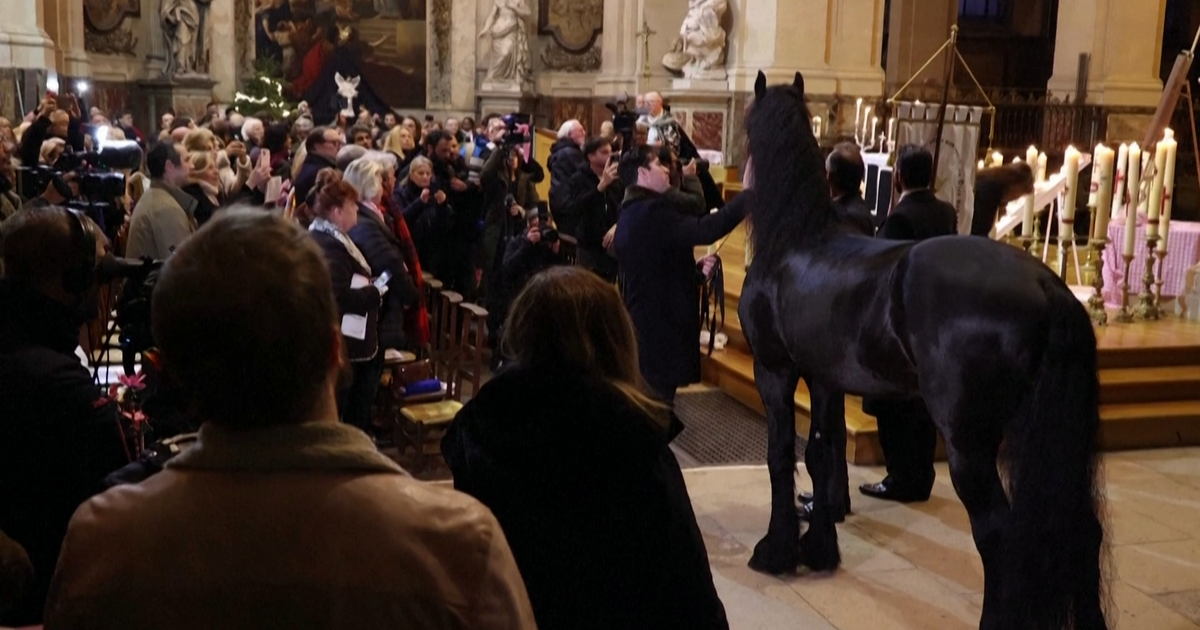 Brigitte Bardot : un cheval noir, Michel Drucker et des touches de ...