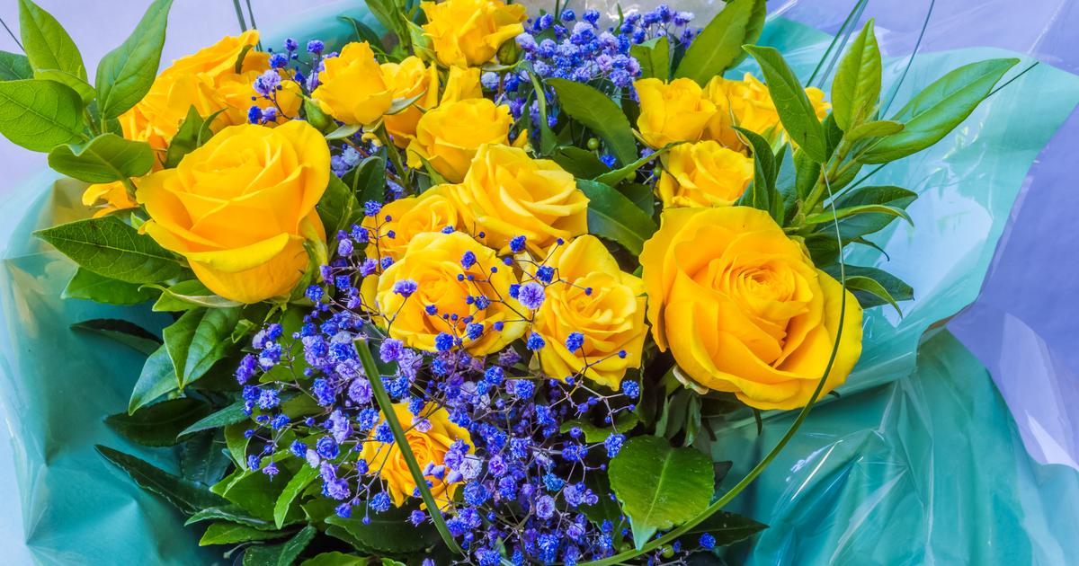 Ces 10 fleurs à ne surtout pas offrir à la Saint-Valentin : elles ont ...