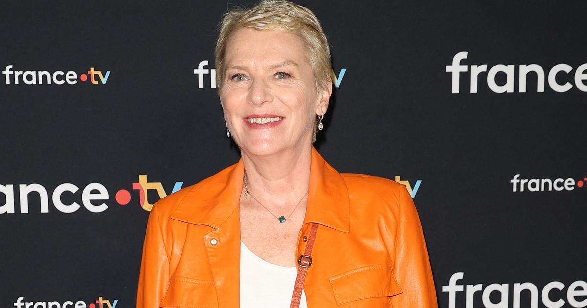 Élise Lucet, le coût de son émission Cash Investigation fait débat ...