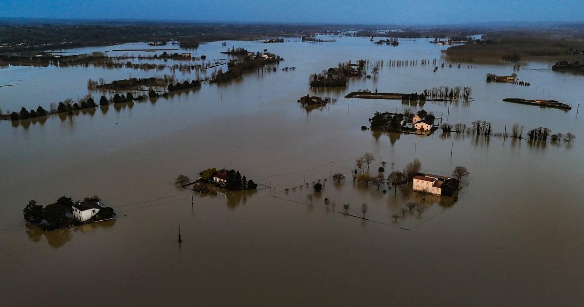 Ice spice bokep elle se comporte tout simplement en