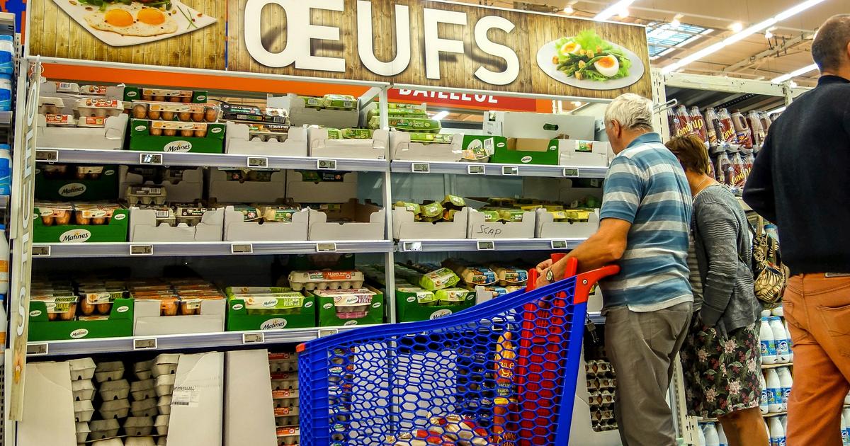 Carrefour, Auchan, Lidl... Plus de 7 supermarchés sur 10 vendraient ...