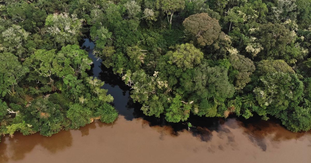 Les lacs tourbeux du bassin du Congo libèrent du carbone vieux de ...