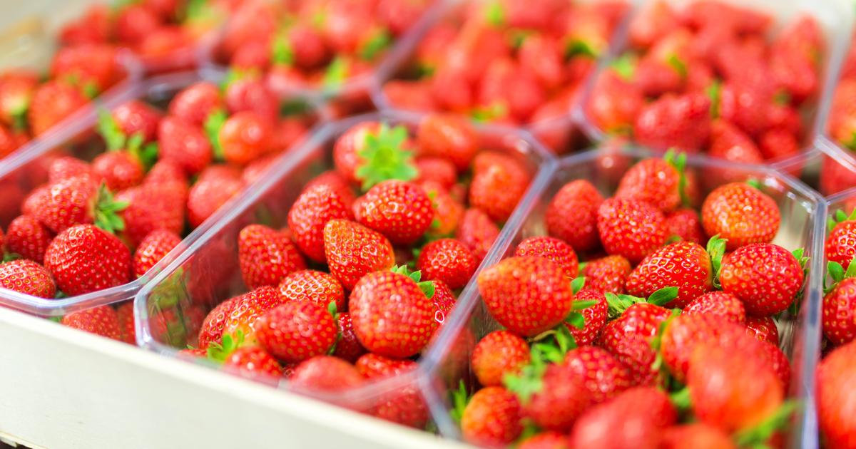 Des fraises contenant trop de pesticides rappelées par Grand Frais et Fresh