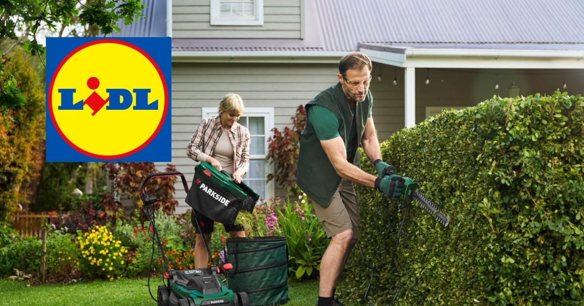 Sitemapcdatahttpsvenkedriinfosacs Jardinage Lidl