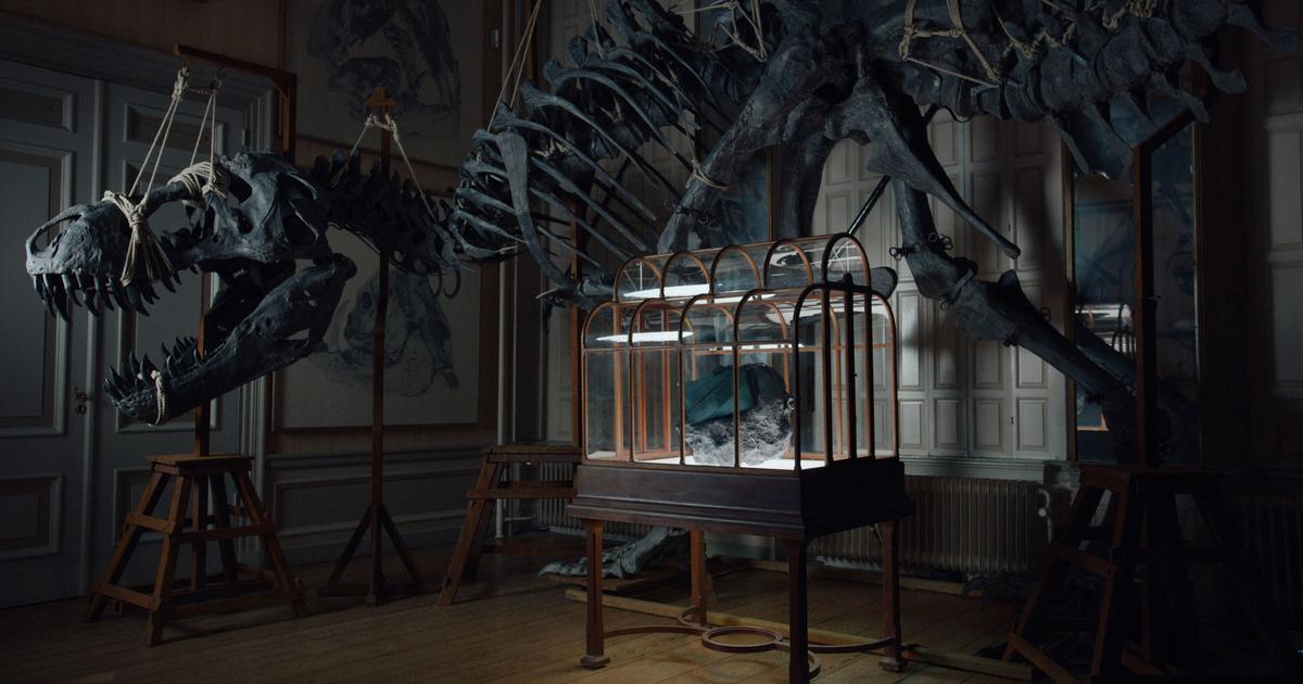 À Amsterdam, le musée Art Zoo expose mieux qu’un sac en croco... un ...