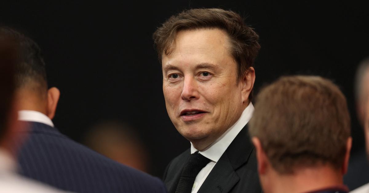 «Un flamant rose en tutu fluo» : Elon Musk attaque des magistrats ...
