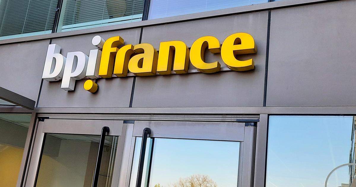 Bpifrance commence à développer son fonds de «private equity» Blue Sea