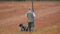 chasse : dernières actualités et vidéos