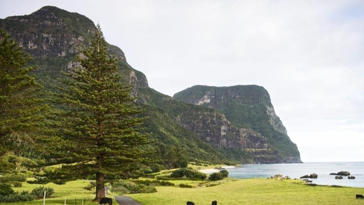 Australie : l'île Lord Howe, dernière escale avant l'éternité