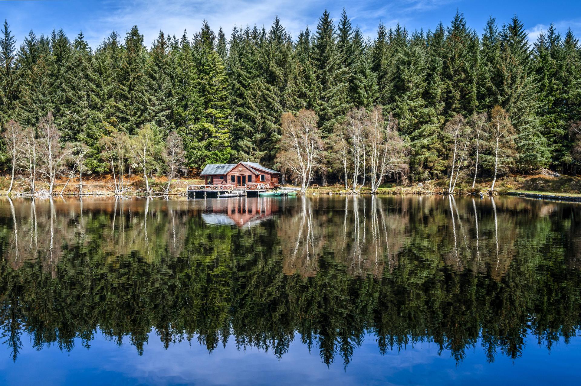 Voyage en Écosse dans les forêts des Hautes Terres, une balade arborée ...