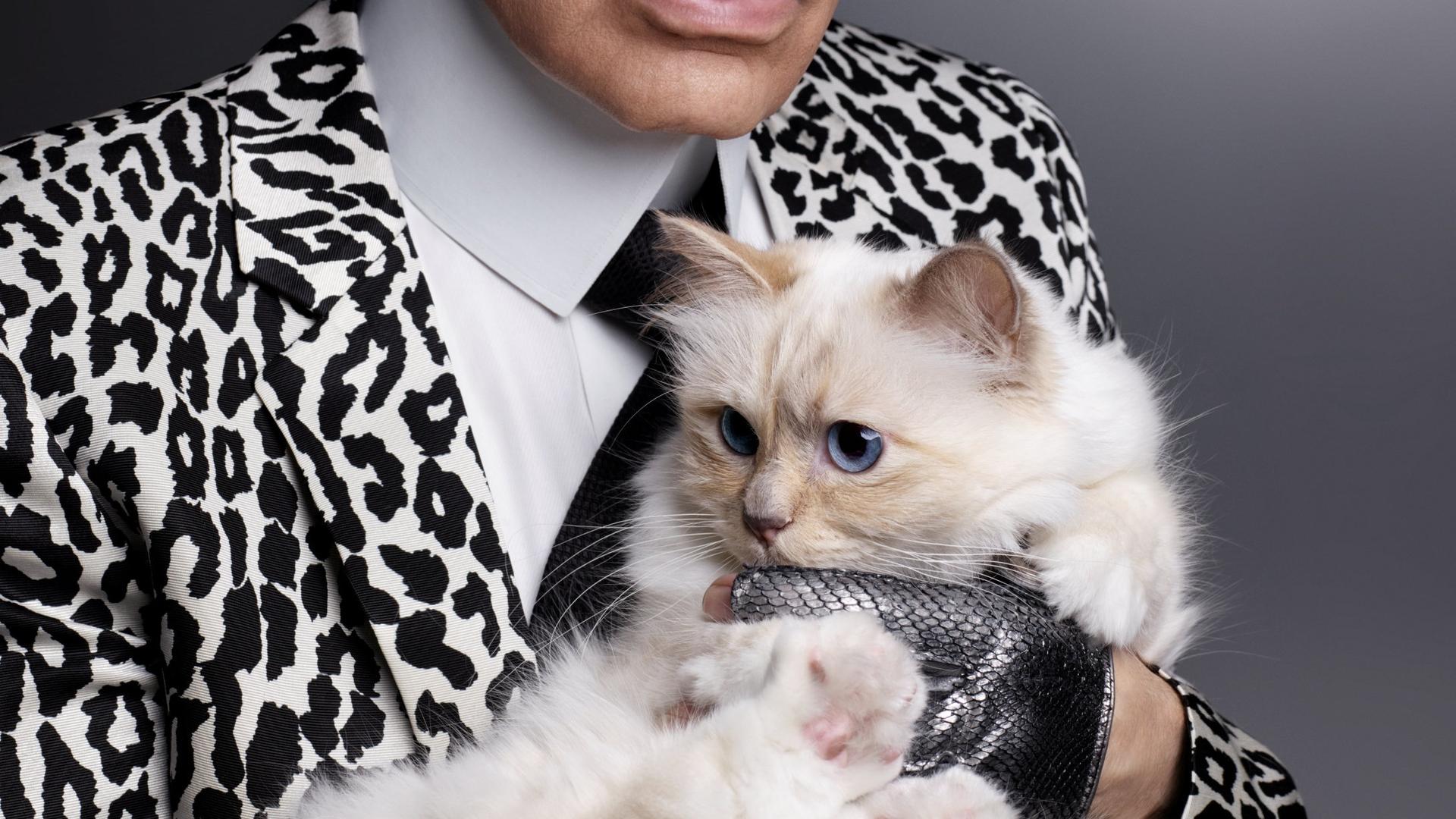 Que devient Choupette Lagerfeld
