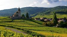 Alsace : Guide des vins et des appellations