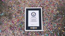 Guinness World Records : 48 nouveaux records français pour l'édition 2023