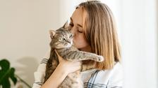 Faire empailler un animal de compagnie, est-ce légal