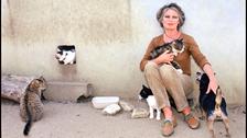 Brigitte Bardot, son mari Bernard d’Ormale reprend le flambeau après sa ...