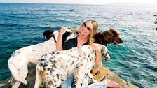 Brigitte Bardot, son mari Bernard d’Ormale reprend le flambeau après sa ...
